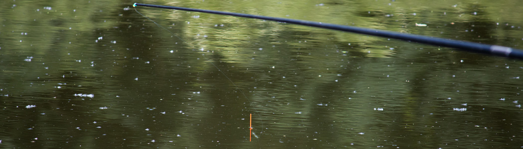 Wil je witvissen met de vaste stok? Lees hier info voor beginners!