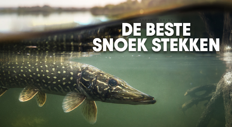 Ga je snoekvissen? Op deze stekken zit gegarandeerd vis!