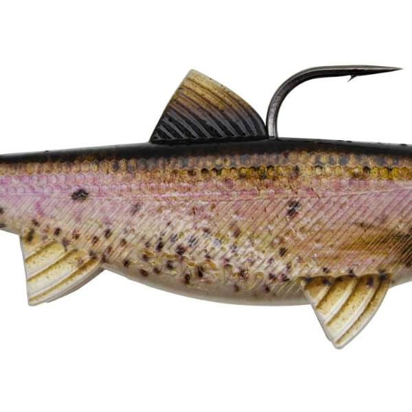 Senshu Real Fin Shad 12 Ready2Catch | Rainbow Trout | 12cm | 25g | 3 ...
