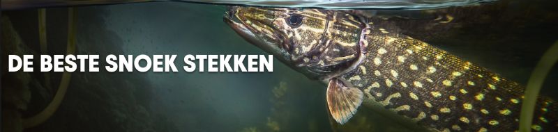 Ga je snoekvissen? Op deze stekken zit gegarandeerd vis!